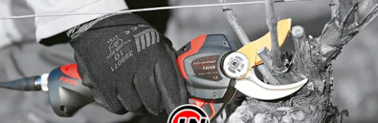 Sécateurs Arboricole - picardfreres.com